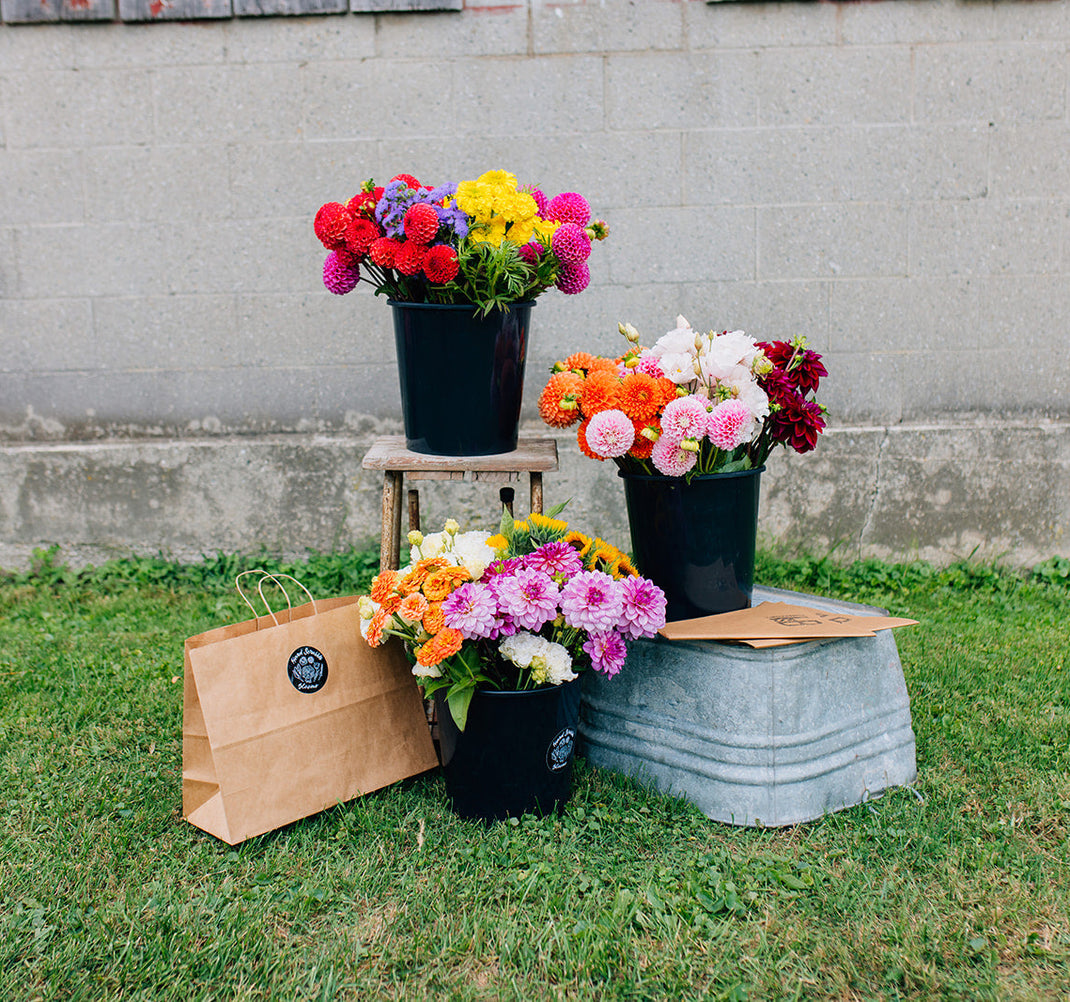 Hard Scrabble Blooms | Wholesale Flowers London Ontario and Chatham On